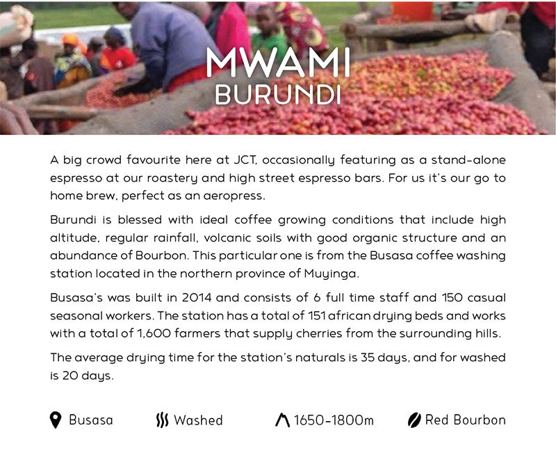 Mwami Speciality Coffee | Burundi | Buy Online – Jericho Coffee Traders